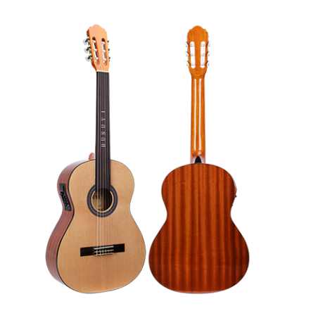 copy of 12 String Acoustic / 6 String Fretless Classical Electric ...