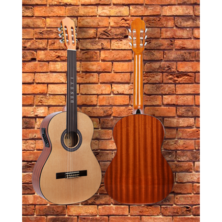 copy of 12 String Acoustic / 6 String Fretless Classical Electric ...